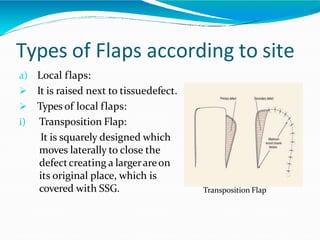 Skin_Graft_.pptx