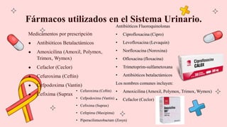 Sistema urinario, informacion basica des | PPTX