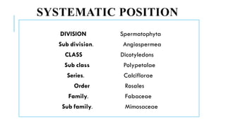 Sub.family Mimosaceae By Hira Aslam GCUL | PPT