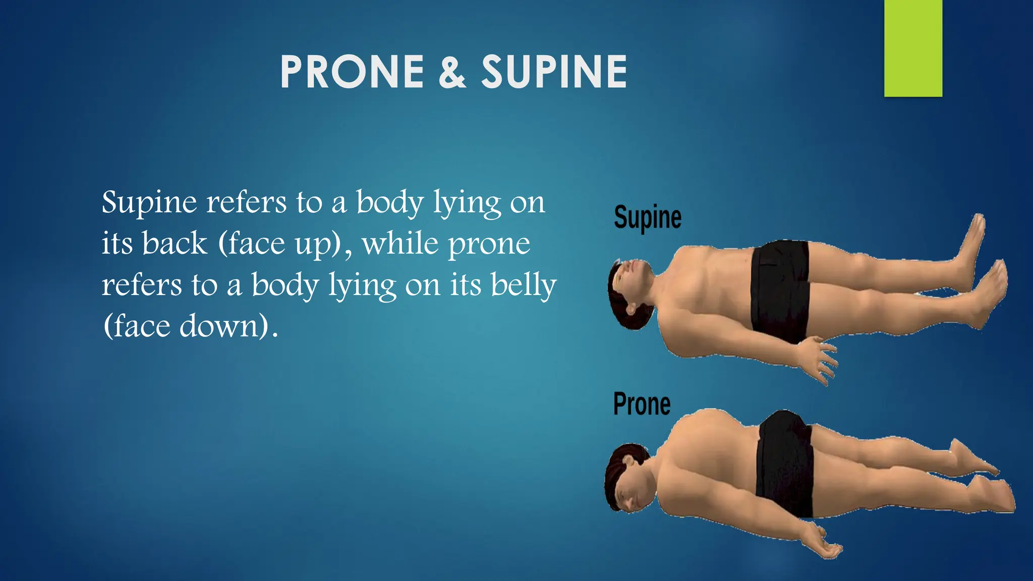 APPLIED ANATOMY-anatomical terms ...pptx