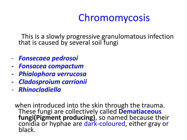 Sub cutaneous fungal infections for mbbs students | PPTX | Ear, Nose ...