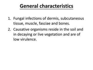 Sub cutaneous fungal infections for mbbs students | PPTX