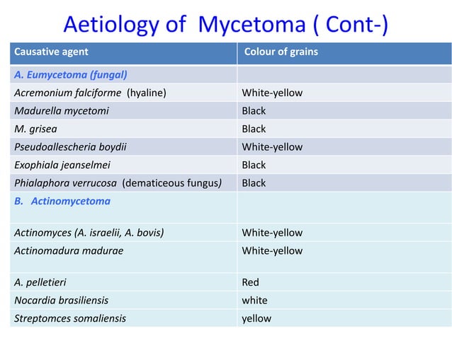 Sub cutaneous fungal infections for mbbs students | PPTX | Ear, Nose ...