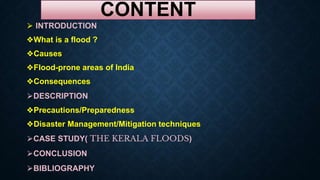 Disaster Management PPT | PPTX