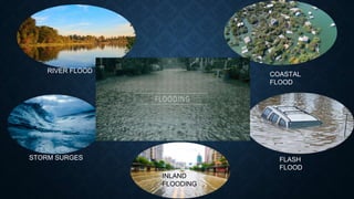 Disaster Management PPT | PPTX