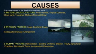 Disaster Management PPT | PPTX