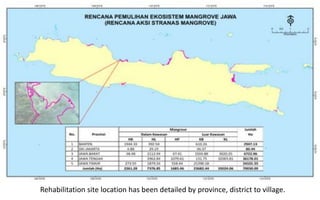 Policy and Implementation of Mangrove Strategic Management Plan | PDF