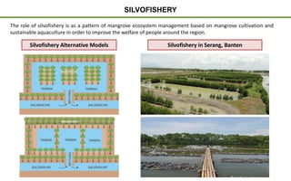 Policy and Implementation of Mangrove Strategic Management Plan | PDF