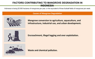 Policy and Implementation of Mangrove Strategic Management Plan | PDF