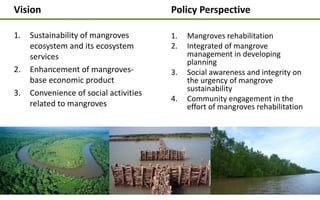 Policy and Implementation of Mangrove Strategic Management Plan | PDF
