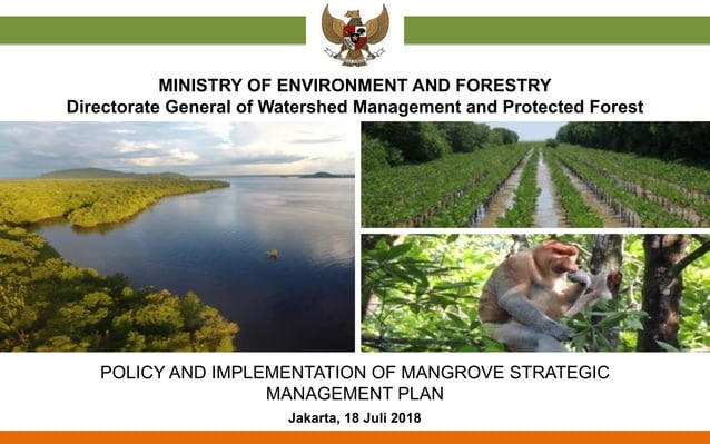 Policy and Implementation of Mangrove Strategic Management Plan | PPT