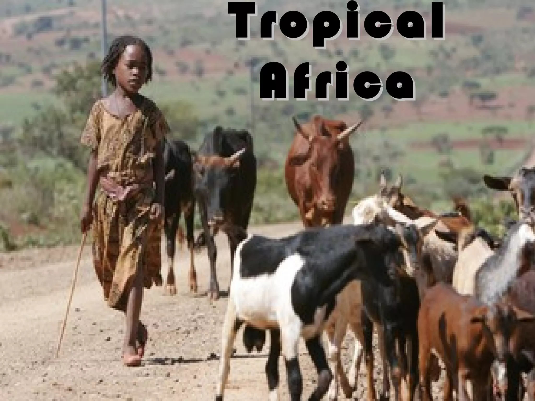 Sub Saharan Africa | PPT