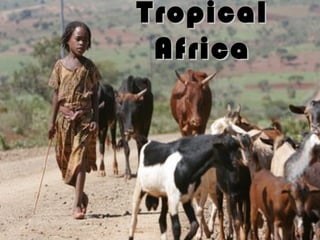 Sub Saharan Africa | PPT