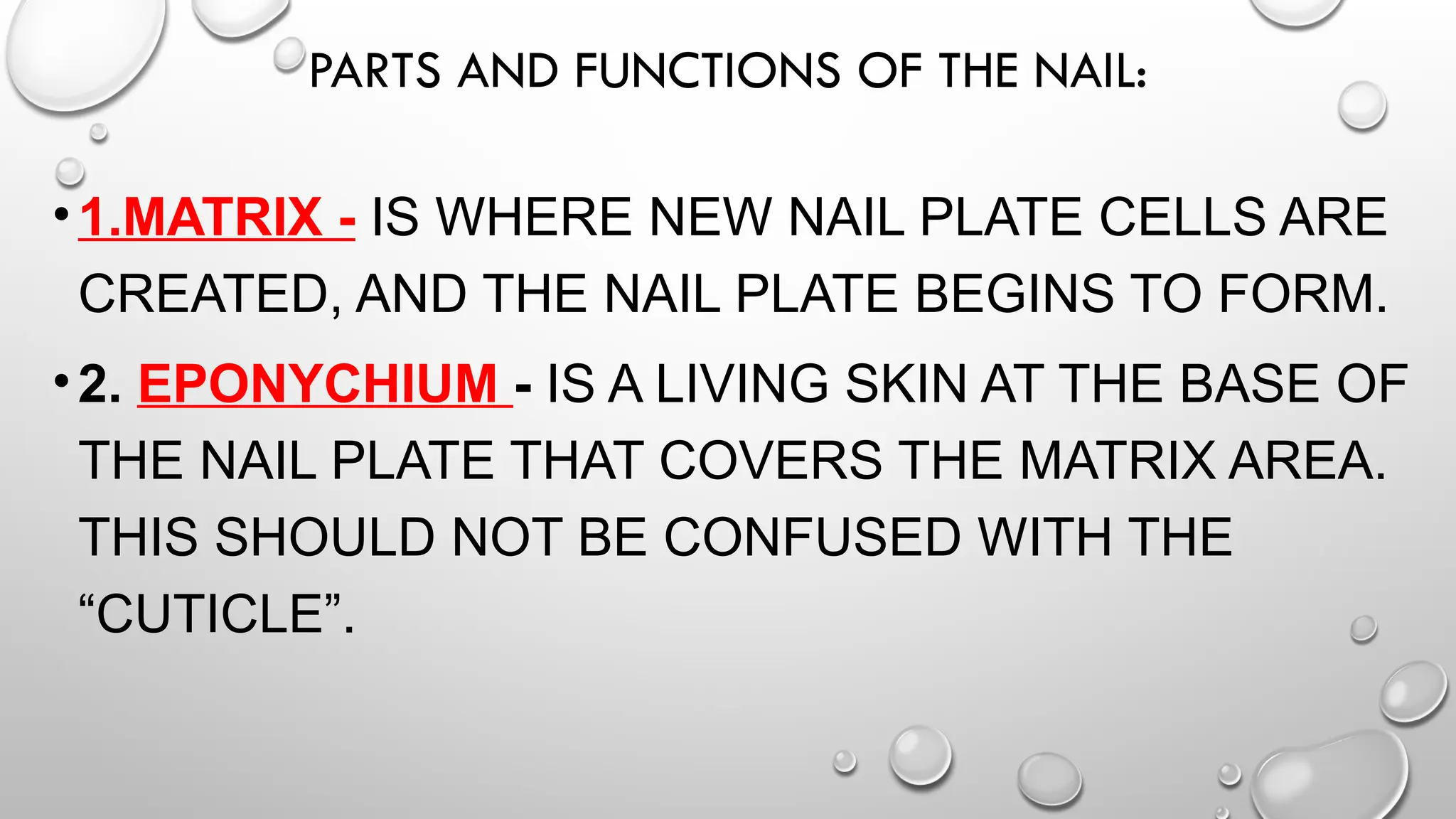 SUB-TOPIC 2.ppt-fcs ANATOMY OF NAIL AND SKIN-TLE 8 3RD QUARTER.pptx