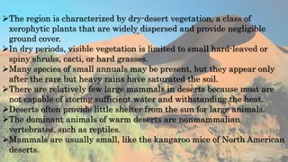 Sub tropical deserts | PPTX