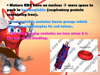 Sub 1[2].2 form 5 a | PPT | Blood Disorders | Diseases and Conditions