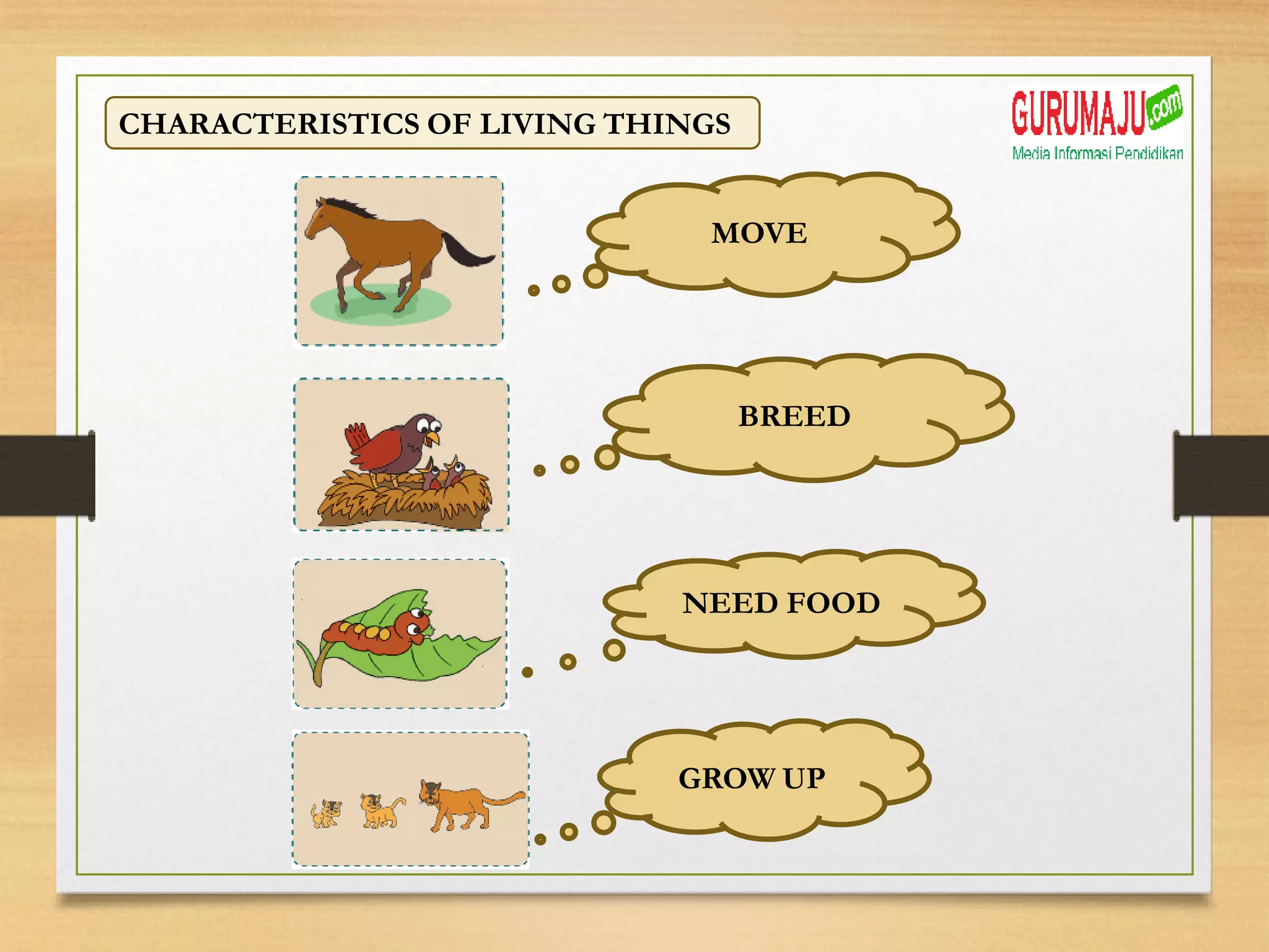 SUB 1 OBJECTS AROUND THE HOUSE.pdf