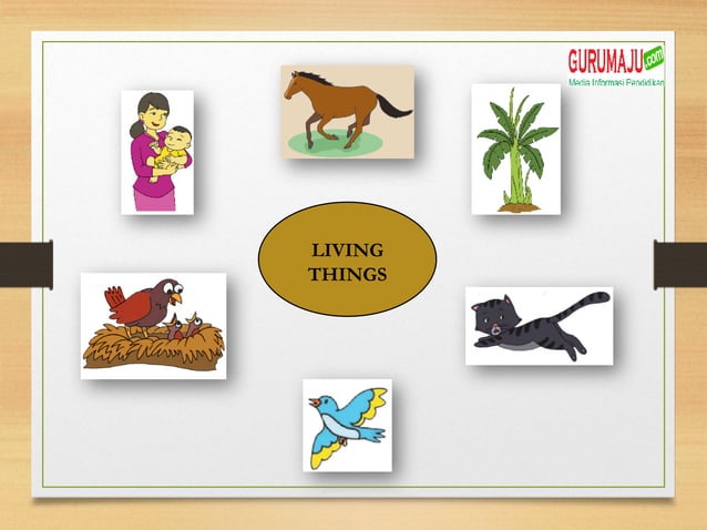 SUB 1 OBJECTS AROUND THE HOUSE.pdf