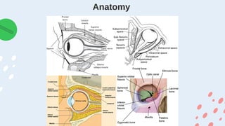 Preseptal cellulitis case presentation.. | PDF