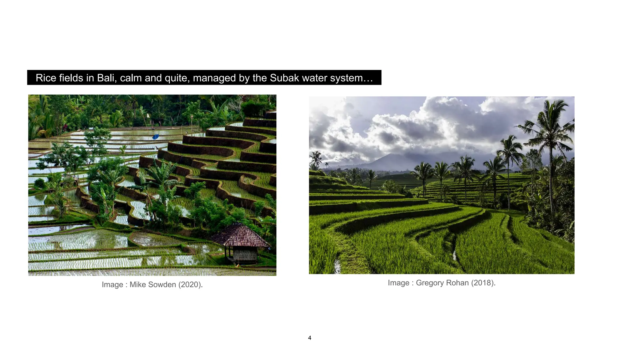 Subak : Indigenous and community-based approach to water irrigation ...