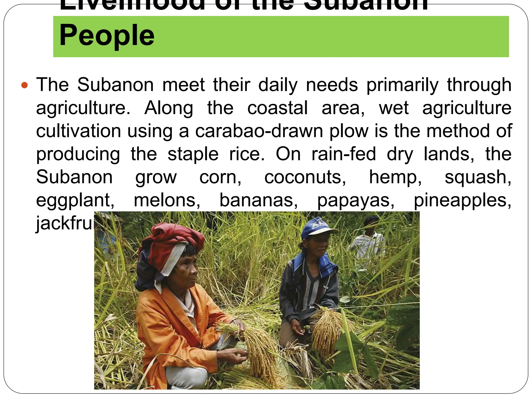 Indigenous People of the Philippines-Subanen | PPTX