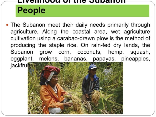 Indigenous People of the Philippines-Subanen | PPTX | Houses | Real Estate