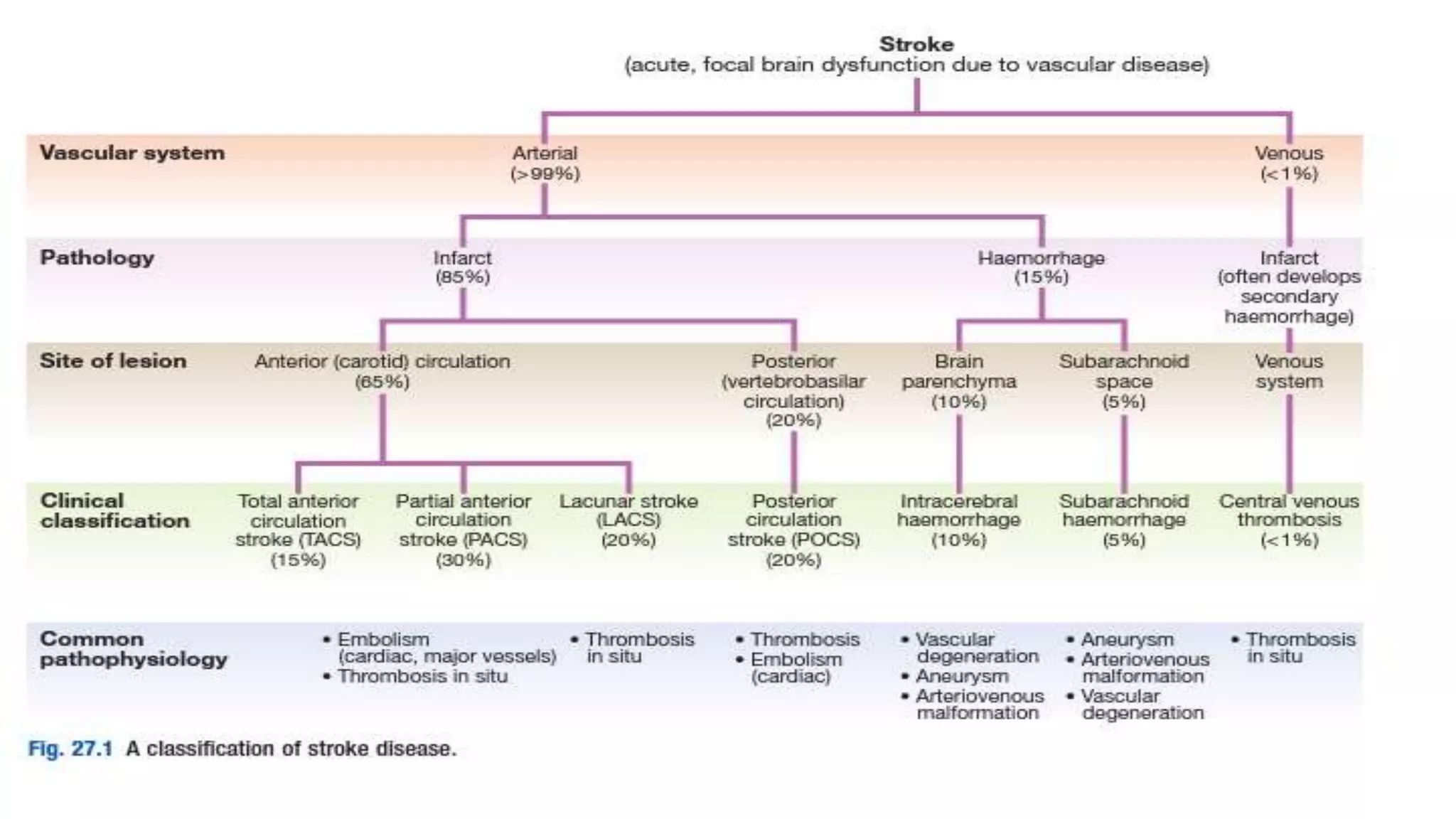 Subarachnoid Haemorrhage(SAH) | PPTX | Blood Disorders | Diseases and ...
