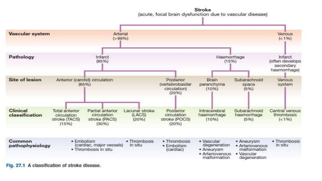 Subarachnoid Haemorrhage(SAH) | PPT