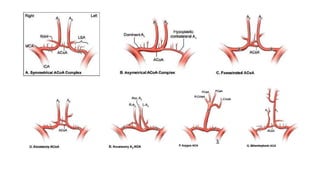 Subarachnoid Hemorrhage (SAH) and Aneurysm presentation.pptx