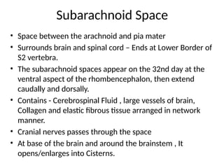 SUBARACHNOID SPACES - the CSF Cisterns.pptx