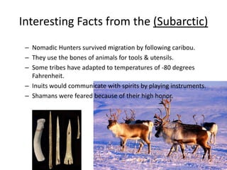 Subarctic | PPTX