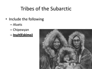 Subarctic | PPTX