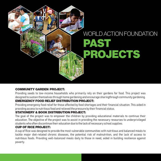 World Action NGO : Organizing a Better World | PDF