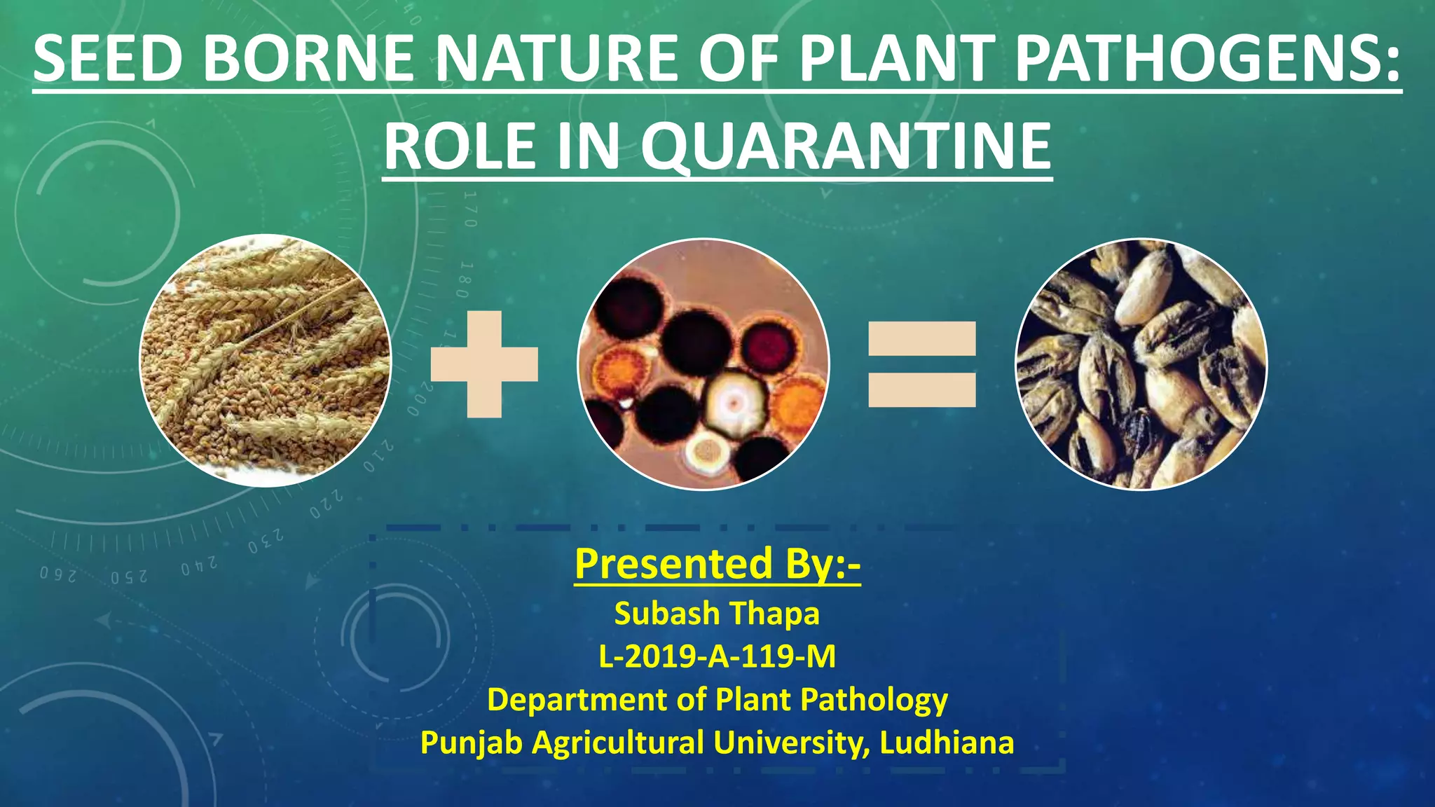 seed borne nature of plant pathogen | PPTX