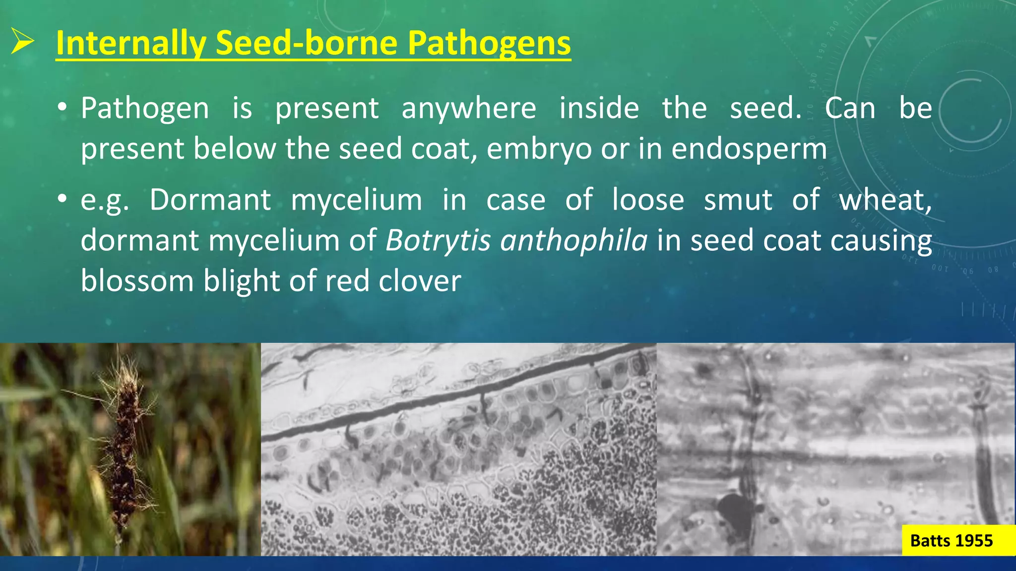 seed borne nature of plant pathogen | PPTX