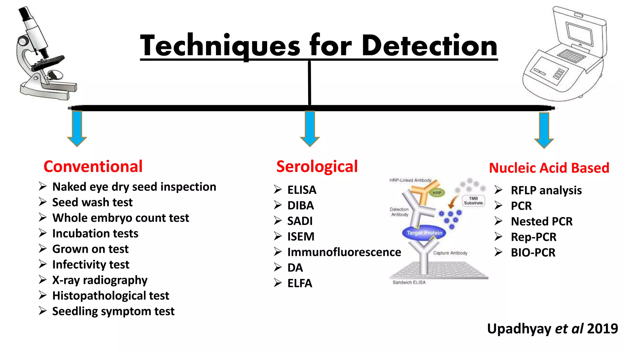 seed borne nature of plant pathogen | PPTX