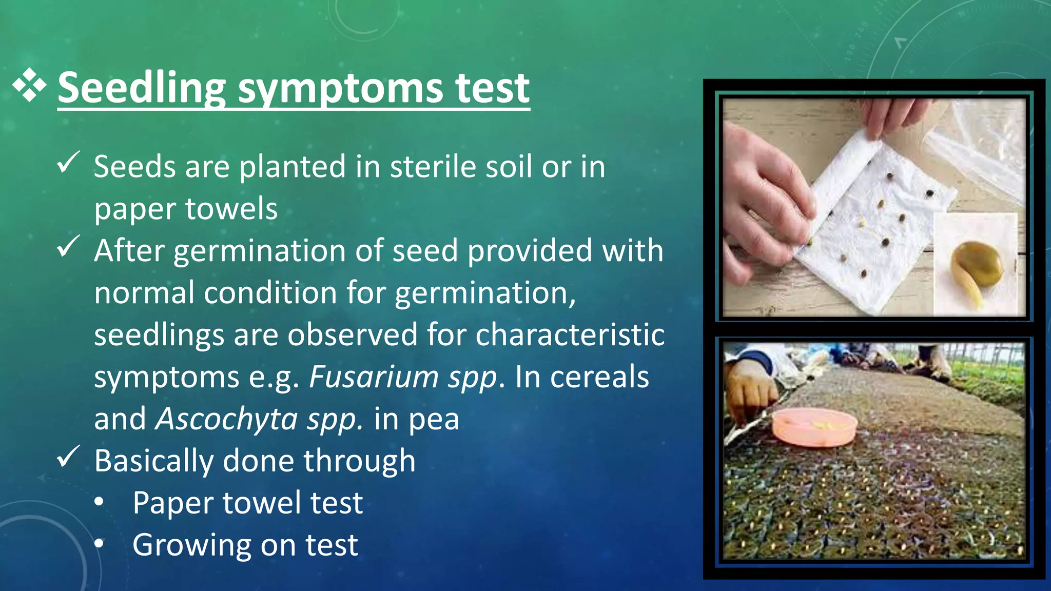 seed borne nature of plant pathogen | PPTX