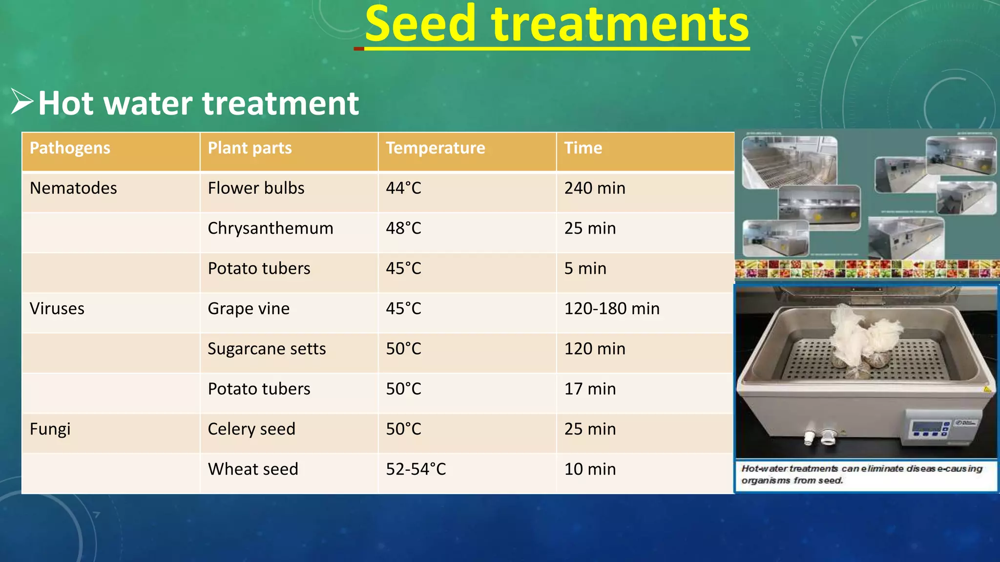 seed borne nature of plant pathogen | PPTX