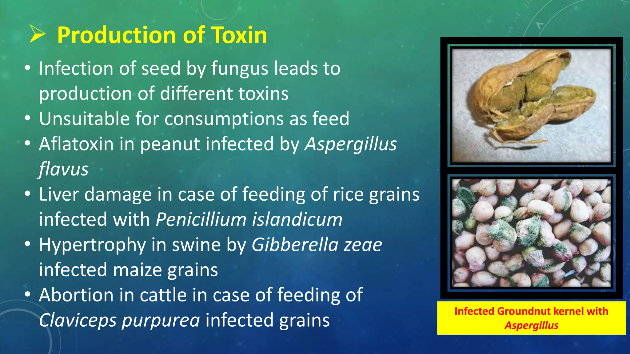 seed borne nature of plant pathogen | PPTX