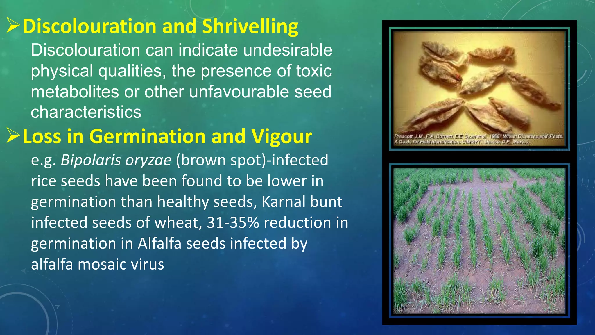 seed borne nature of plant pathogen | PPTX