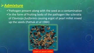 seed borne nature of plant pathogen | PPTX
