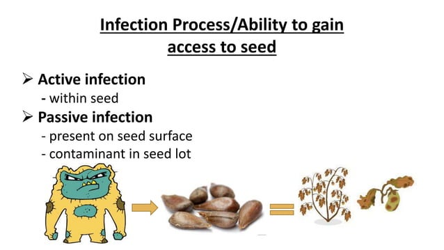 seed borne nature of plant pathogen | PPTX | Gardening | Home & Garden