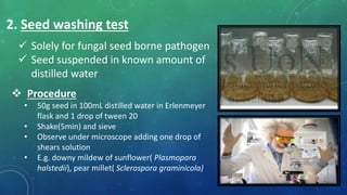 seed borne nature of plant pathogen | PPTX