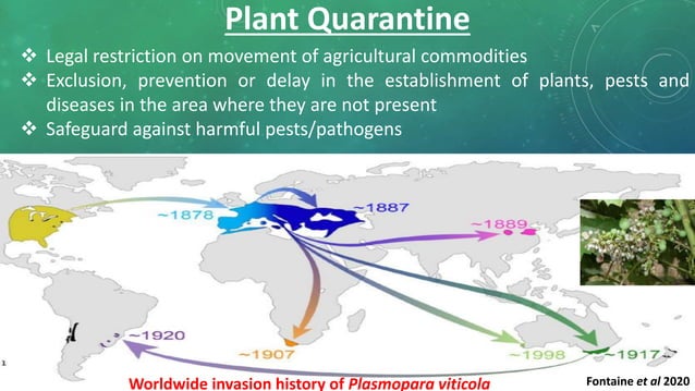seed borne nature of plant pathogen | PPTX | Gardening | Home & Garden