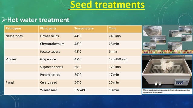 seed borne nature of plant pathogen | PPTX | Gardening | Home & Garden