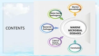 Marine microbial diseases-Water borne bcterial pathogens | PPTX