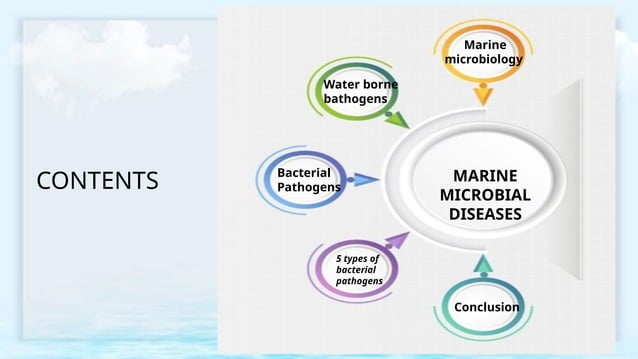 Marine microbial diseases-Water borne bcterial pathogens | PPT