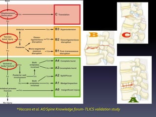Subaxial cervical spine injuries clinical specturum and emergency ...