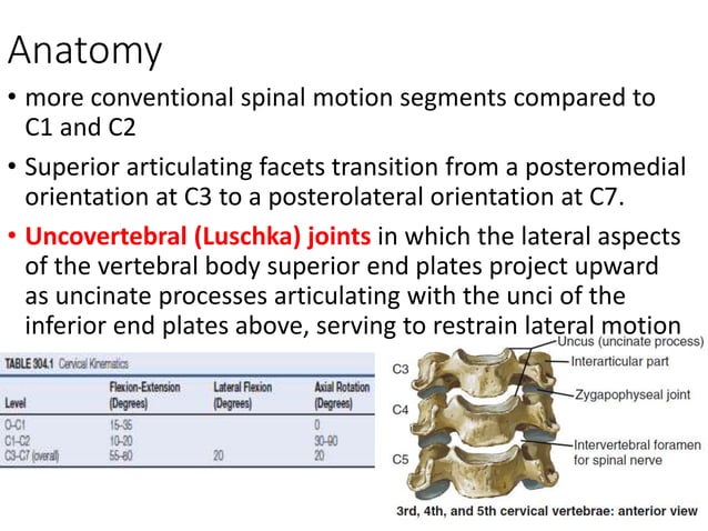 Subaxial Cervical spine fusion.pptx