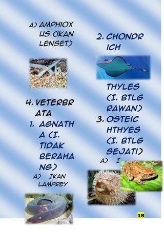 Klasifikasi Kingdom Animalia | DOCX